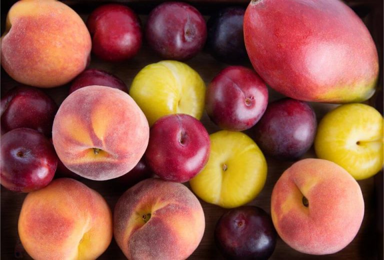 Integrated Service Solutions | Your Quality Focused Packing Partner